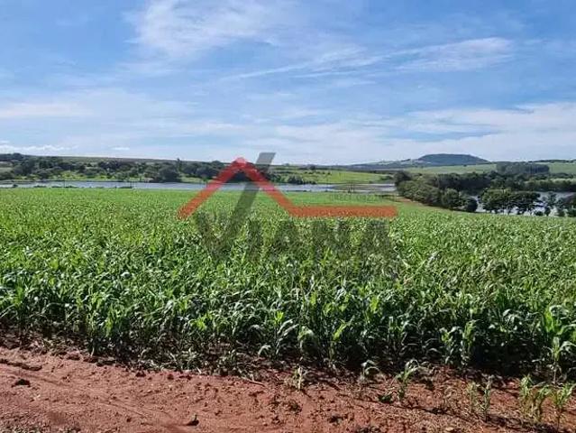 Sítio / Chácara para Venda em Avaré/SP Área Rural de Avaré