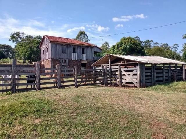 Sítio / Chácara para Venda em Botucatu/SP Zona Rural