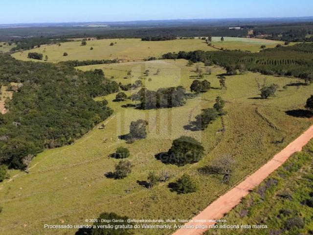 Sítio / Chácara para Venda em Botucatu/SP Chácara Recreio Vista Alegre