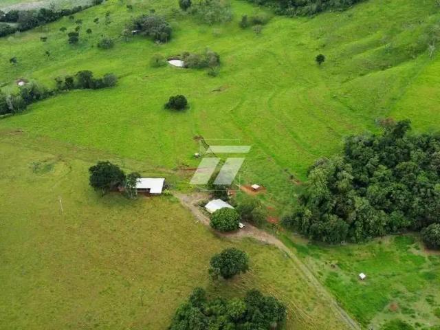 Sítio / Chácara para Venda em Boa Vista da Aparecida/PR Centro