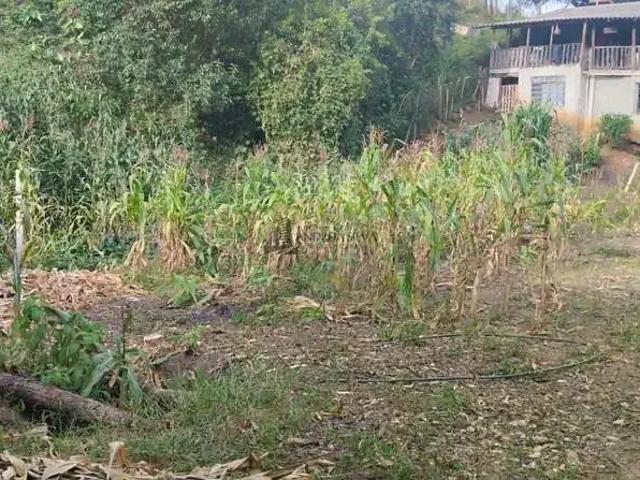 Sítio / Chácara para Venda em Bocaiúva do Sul/PR Cachoeirinha 1 Quartos
