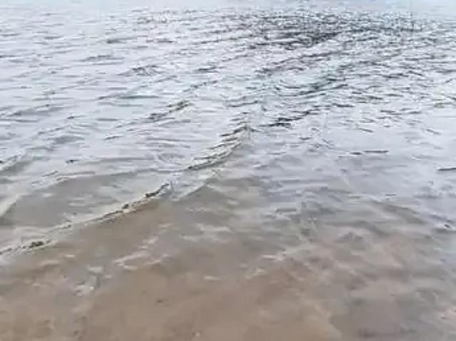 Sítio / Chácara para Venda em Bocaiúva do Sul/PR Centro