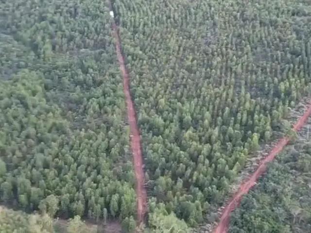 Sítio / Chácara para Venda em Bocaiúva/MG Zona Rural