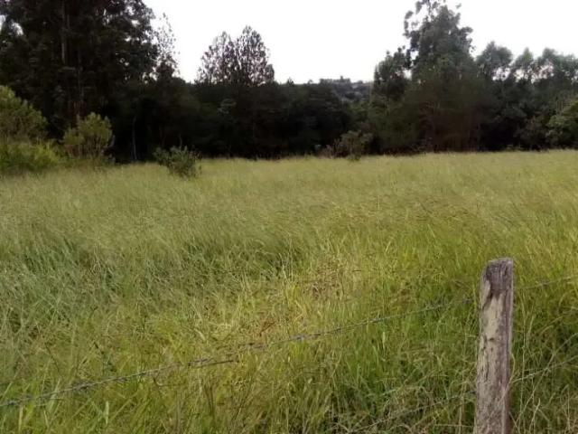 Sítio / Chácara para Venda em Bofete/SP Campo Alegre IV