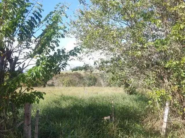 Sítio / Chácara para Venda em Bofete/SP Zona Rural 1 Quartos
