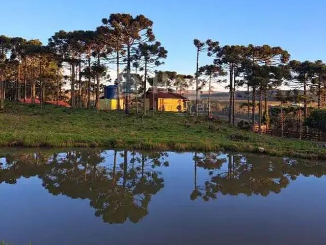 Sítio / Chácara para Venda em Bom Jardim da Serra/SC Centro 5 Quartos
