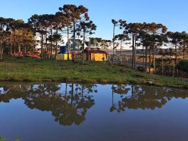 Sítio / Chácara para Venda em Bom Jardim da Serra/SC Centro 5 Quartos