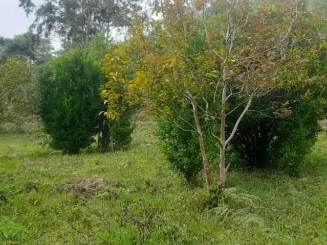 Sítio / Chácara para Venda em Bom Jardim de Minas/MG Zona Rural