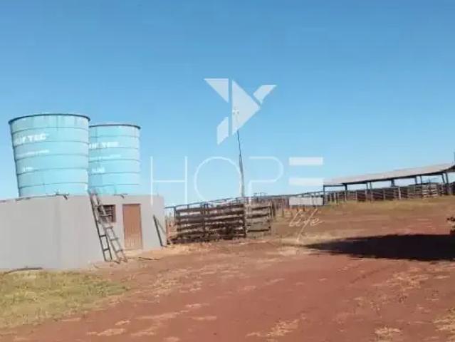 Sítio / Chácara para Venda em Bom Jesus do Tocantins/TO Zona Rural 4 Quartos