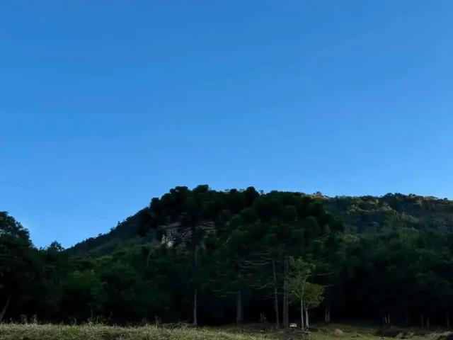 Sítio / Chácara para Venda em Bom Repouso/MG Centro