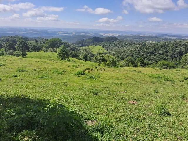 Sítio / Chácara para Venda em Bom Retiro/SC Zona Rural