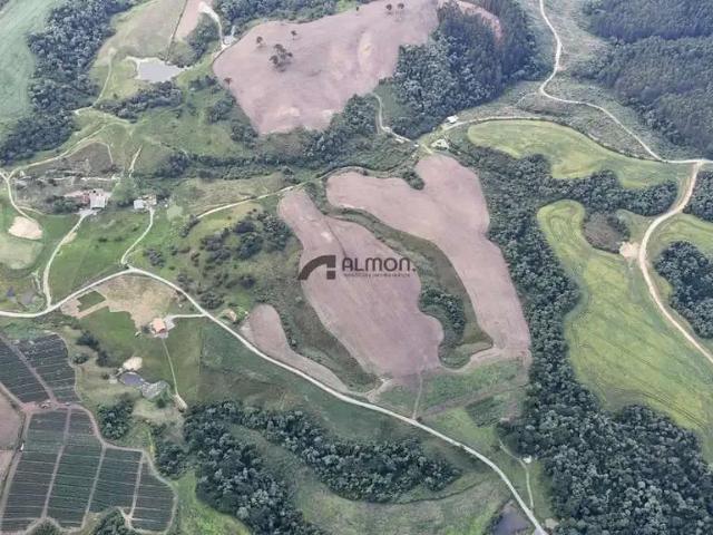 Sítio / Chácara para Venda em Bom Retiro/SC Zona Rural