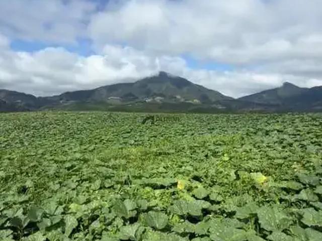 Sítio / Chácara para Venda em Bom Retiro/SC Zona Rural