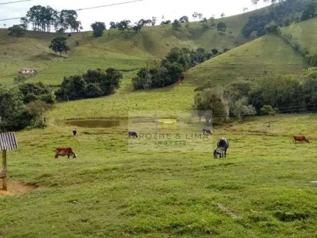 Sítio / Chácara para Venda em Borda da Mata/MG Sertãozinho