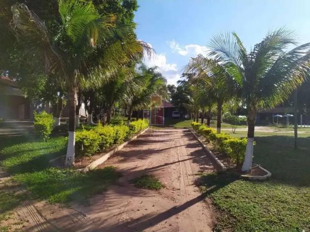 Sítio / Chácara para Venda em Bauru/SP Rio Verde 7 Quartos