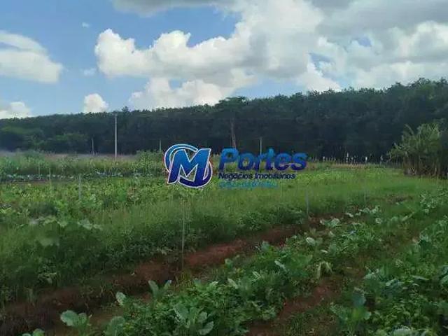Sítio / Chácara para Venda em Bady Bassitt/SP Centro