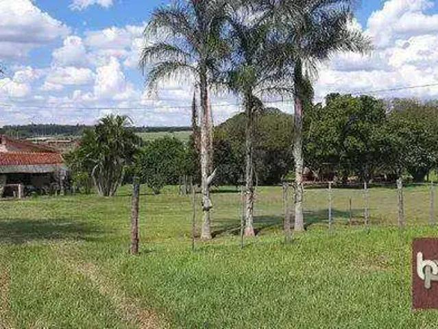 Sítio / Chácara para Venda em Bady Bassitt/SP Zona Rural