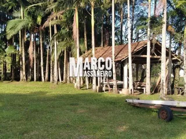 Sítio / Chácara para Venda em Balneário Barra do Sul/SC Pinheiros