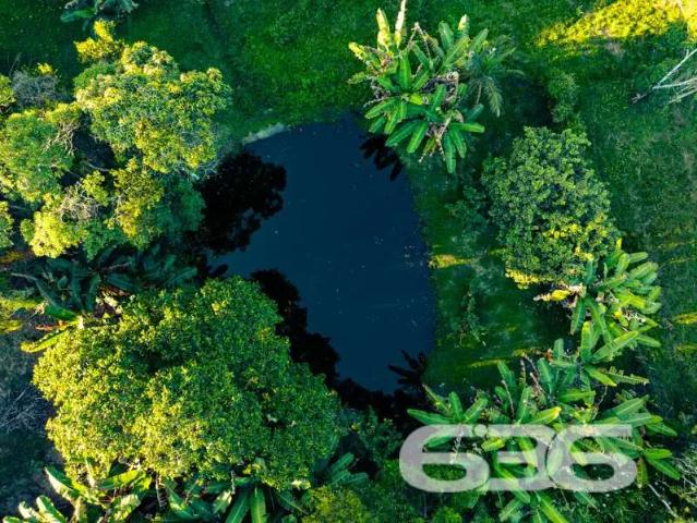 Sítio / Chácara para Venda em Balneário Barra do Sul/SC Pinheiros 2 Quartos