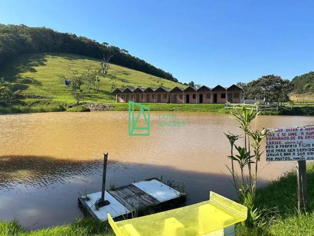 Sítio / Chácara para Venda em Balneário Piçarras/SC Zona Rural