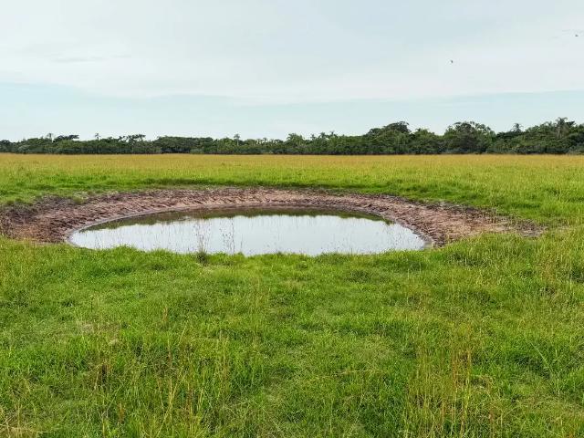 Sítio / Chácara para Venda em Balneário Pinhal/RS Figueirinha 1 Quartos
