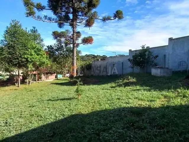 Sítio / Chácara para Venda em Balsa Nova/PR Mineiros 1 Quartos
