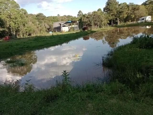 Sítio / Chácara para Venda em Balsa Nova/PR Bugre 1 Quartos