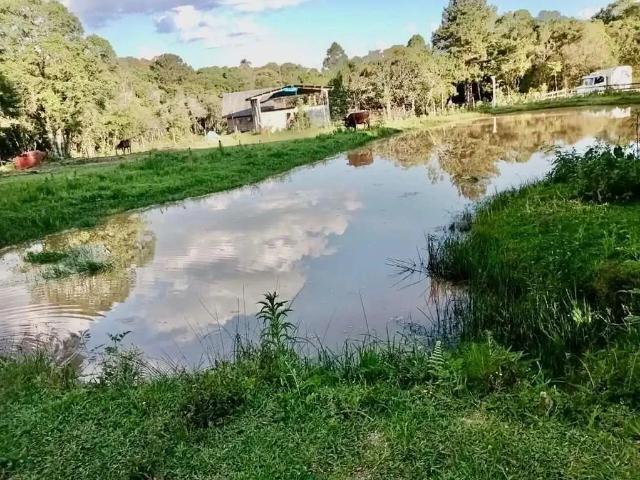 Sítio / Chácara para Venda em Balsa Nova/PR Bugre 1 Quartos