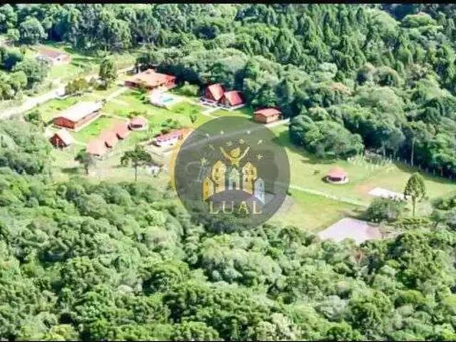 Sítio / Chácara para Venda em Balsa Nova/PR Bugre
