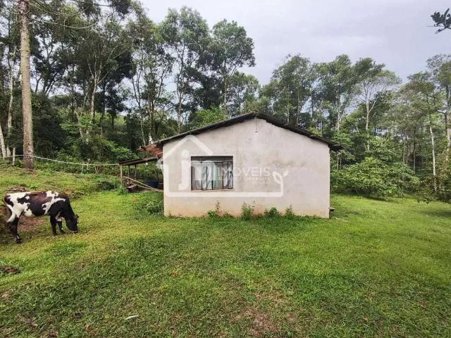 Sítio / Chácara para Venda em Balsa Nova/PR Campina do Bicudo 3 Quartos