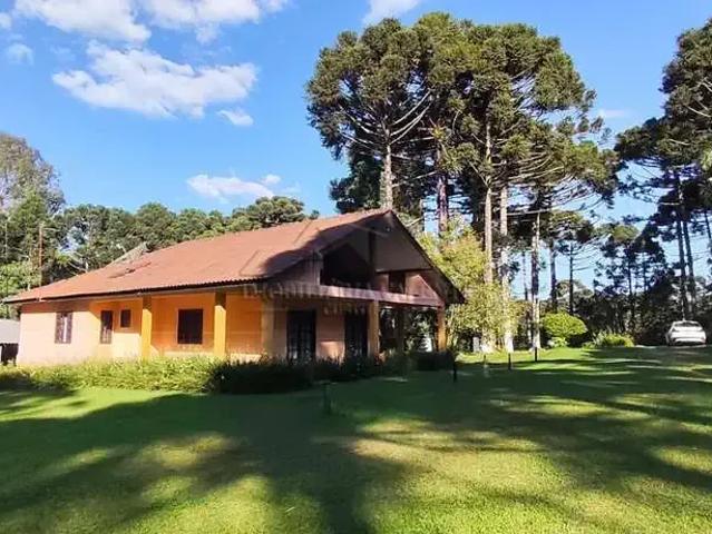 Sítio / Chácara para Venda em Balsa Nova/PR Centro