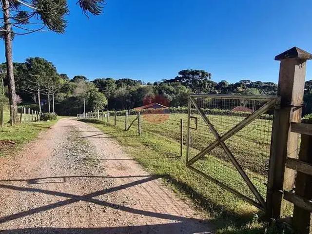 Sítio / Chácara para Venda em Balsa Nova/PR Centro 6 Quartos