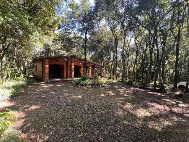 Sítio / Chácara para Venda em Balsa Nova/PR Centro 2 Quartos