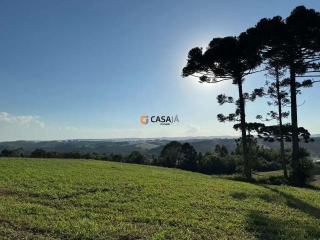 Sítio / Chácara para Venda em Balsa Nova/PR Rodeio Santo Antônio 1 Quartos