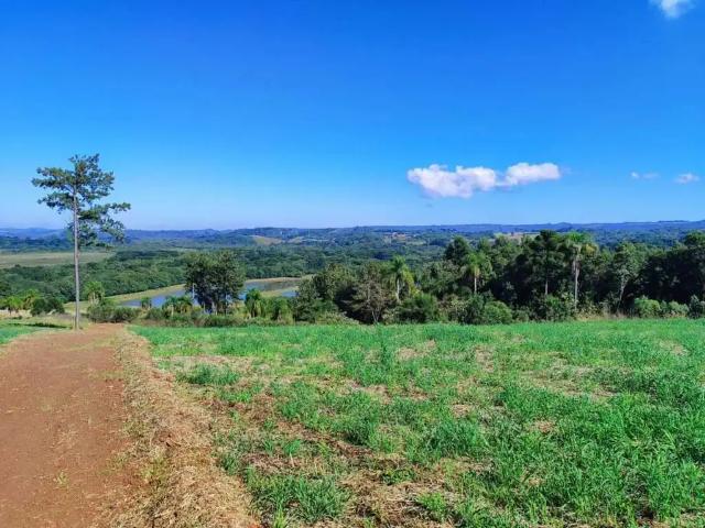 Sítio / Chácara para Venda em Balsa Nova/PR Rodeio Santo Antônio