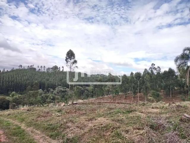 Sítio / Chácara para Venda em Balsa Nova/PR Rodeio Santo Antônio