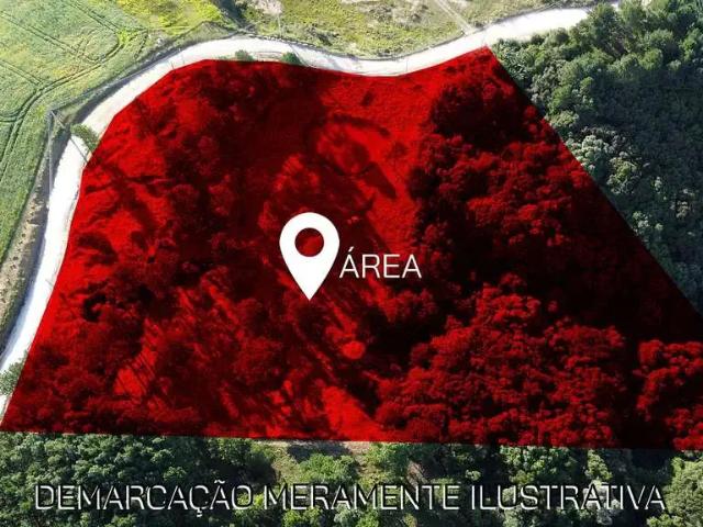 Sítio / Chácara para Venda em Balsa Nova/PR São Luiz do Purunã