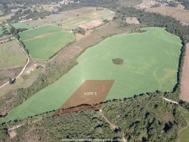 Sítio / Chácara para Venda em Balsa Nova/PR São Luiz do Purunã