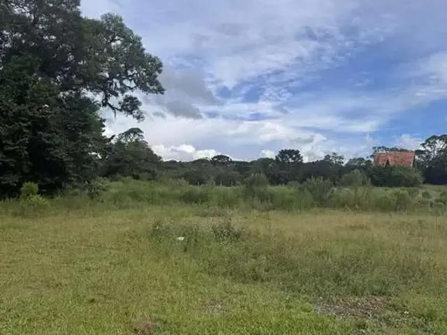 Sítio / Chácara para Venda em Balsa Nova/PR São Luiz do Purunã