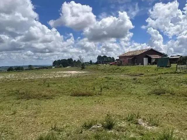 Sítio / Chácara para Venda em Balsa Nova/PR São Luiz do Purunã