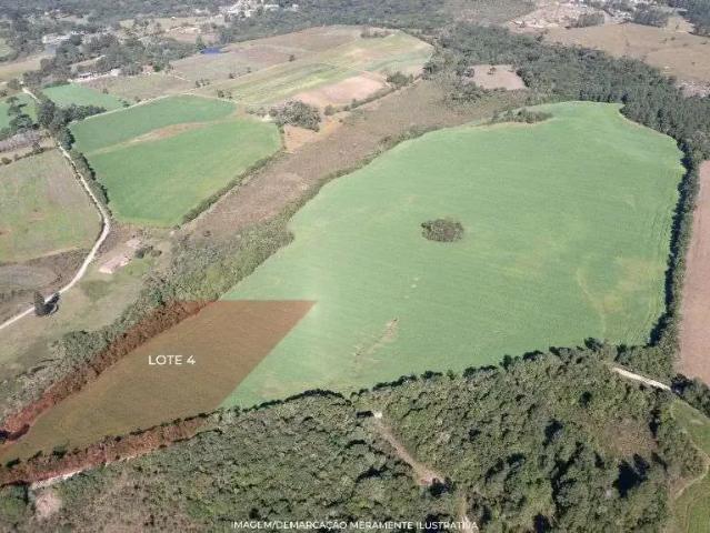 Sítio / Chácara para Venda em Balsa Nova/PR São Luiz do Purunã
