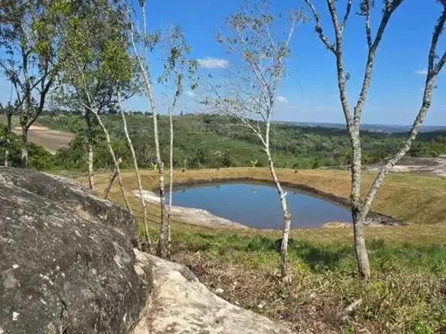 Sítio / Chácara para Venda em Balsa Nova/PR São Luiz do Purunã