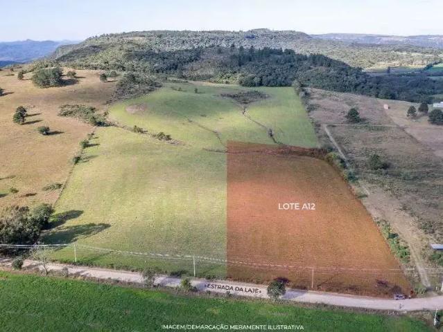 Sítio / Chácara para Venda em Balsa Nova/PR São Luiz do Purunã