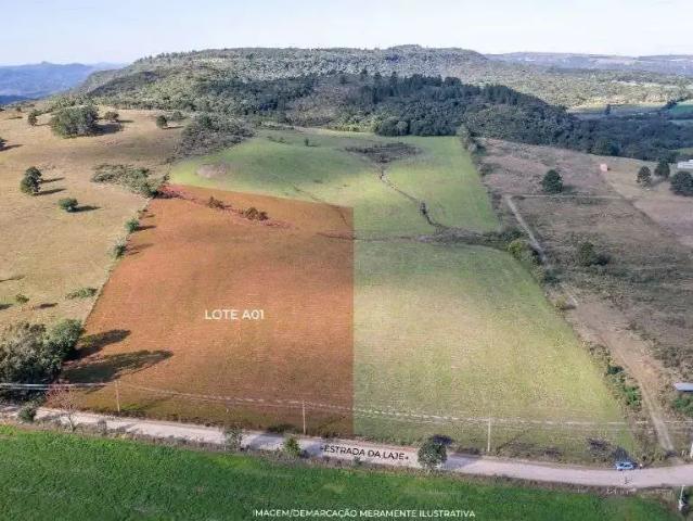 Sítio / Chácara para Venda em Balsa Nova/PR São Luiz do Purunã