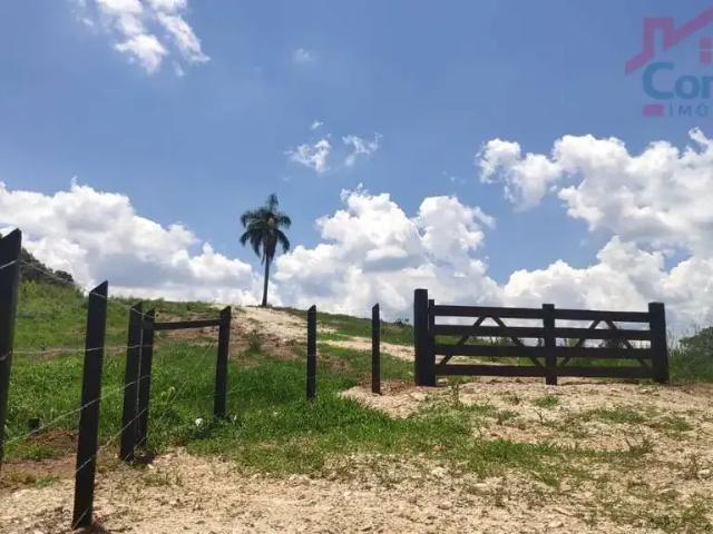 Sítio / Chácara para Venda em Balsa Nova/PR Santo Antonio