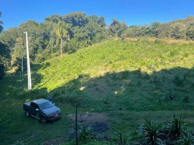 Sítio / Chácara para Venda em Balsa Nova/PR Zona Rural