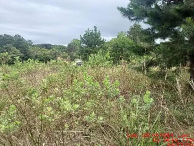Sítio / Chácara para Venda em Balsa Nova/PR Zona Rural