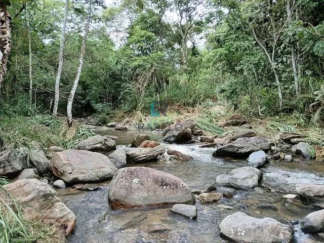Sítio / Chácara para Venda em Bananal/SP Zona Rural 3 Quartos