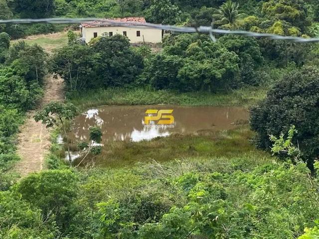Sítio / Chácara para Venda em Bananeiras/PB Centro 1 Quartos