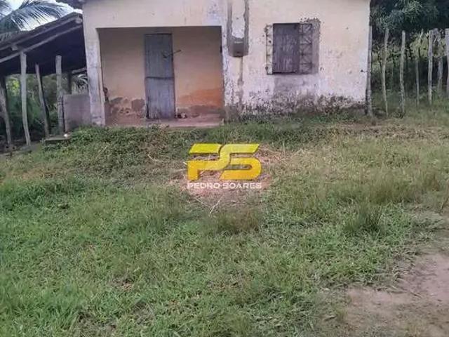 Sítio / Chácara para Venda em Bananeiras/PB Distritos